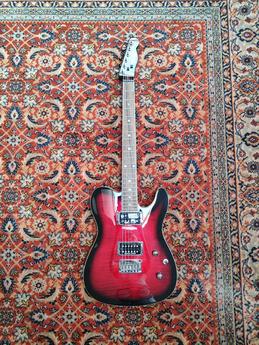 NABÍZÍM Fender Telecaster Custom FMT